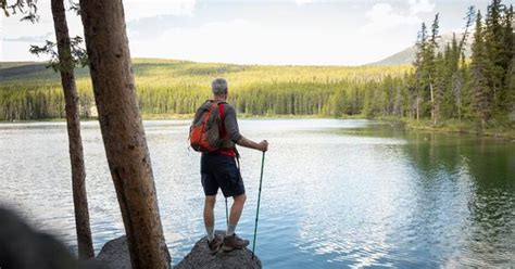 The 12 Stages Of The Agile Transformation Journey Heros Journey Agile Journey