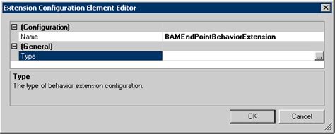 how to add the bam interceptor behavior to the nfig file