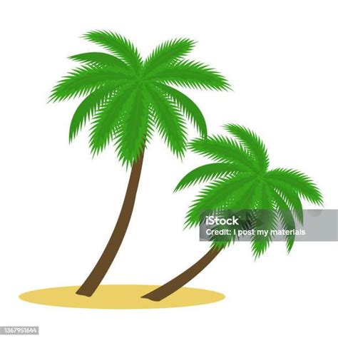 Palm Isolated Vector Color Image Of Palm Trees On A White Background