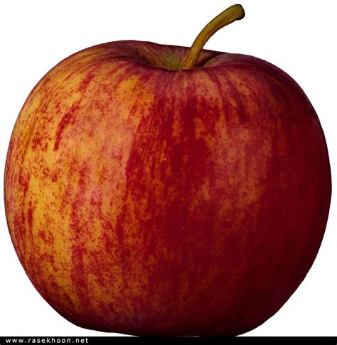 میوه و سبزیجات