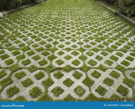 Grass Growing Through Tiled Floor Stock Image Image Of Grey Gray