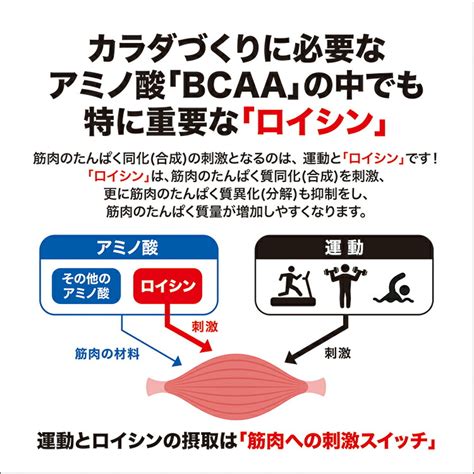 ロイシン 500g Save 高純度 ロイシン パウダー 粉末 アミノ酸 L ロイシン 無添加 500g Save＆食の極 【公式