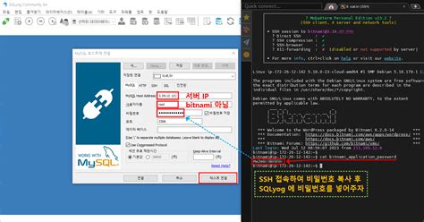 Aws 라이트세일 Db 접속 외부 프로그램 Sqlyog 사용법 방구석 고양이 아캣 Icat
