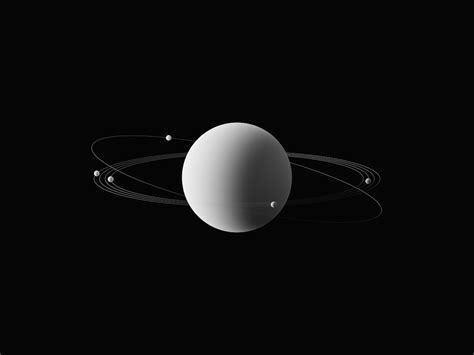 Atom Vs Quark Whats The Difference This Vs That