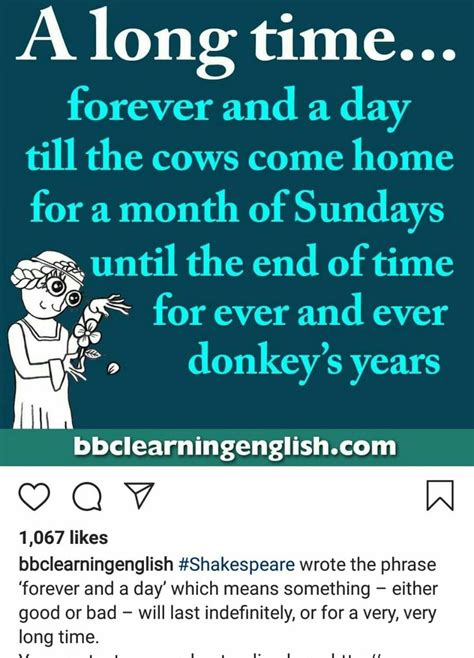 Pin By Only English On Academic Phrase Memes Ever And Ever