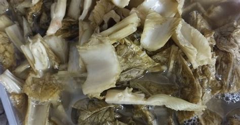Resep Homemade Fermentasi Sayur Asin Oleh Lissyeme Cookpad