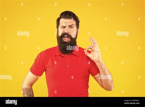 Winking Guy With Beard And Hairstyle Showing Ok Gesture On Yellow