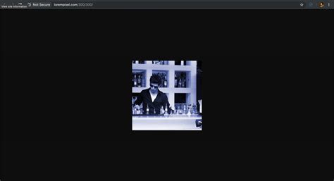Lorempixel Service Appears To Be Out Of Service · Issue 1632 · Faker