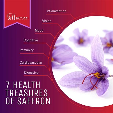 Saffron Health Benefits The Big 7 You Need To Know Saffronice