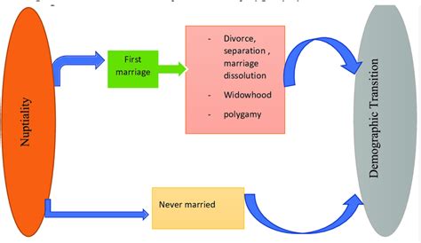 Conceptual Framework Source Researcher Designed February 2021