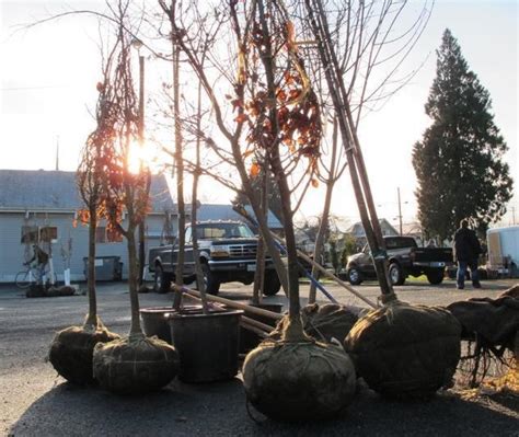 DEQ Revamps Supplemental Environmental Project Policy AIR LAND WATER
