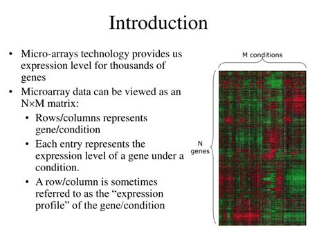 Ppt Biclustering Algorithms For Biological Data Analysis Powerpoint Presentation Id 320698