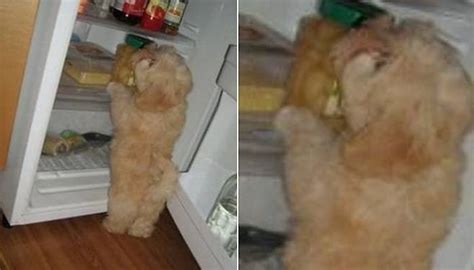 에어컨때문에 전기세 많이 나오는 줄 알았는데 범인이 따로 있었네요 애니멀 플래닛