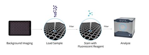 polysorbate degradation and excipient characterization halo labs