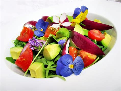 Ideas Originales Para Eventos Que Dej El Gastrofestival Eventosyfiestas Infobae Com