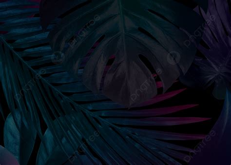 Simple Plant Leaf Background Simple Plant Leaf Background Image And