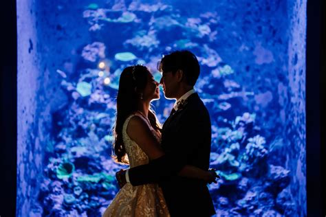 Crystal And Juns Magical Underwater Wedding At Sea Aquarium