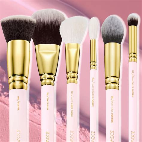 Best Makeup Brush Set Bios Pics