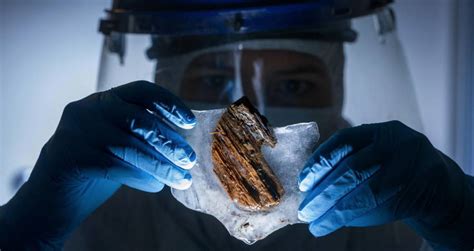 Wreckage Of Clotilda Last American Slave Ship Found In Alabama