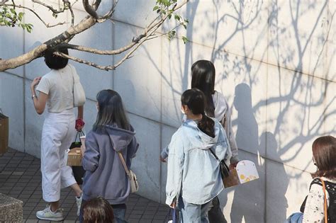 台灣200萬人深受偏頭痛之苦 女性盛行率為男性3倍 風傳媒