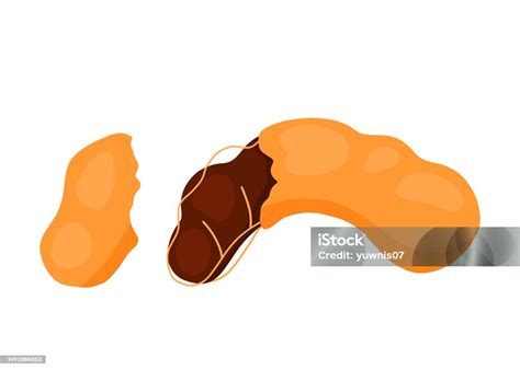 타마린드 과일 반쯤 열린 아이콘 애니메이션 벡터 일러스트레이션 갈색에 대한 스톡 벡터 아트 및 기타 이미지 갈색 과일