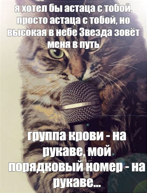 Создать мем кот с гитарой забавные кошки кошка в караоке Картинки Meme