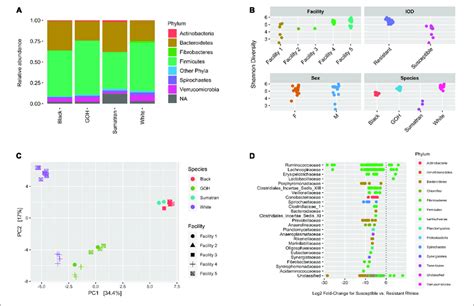 Microbial Community Composition Diversity And Differential Download Scientific Diagram
