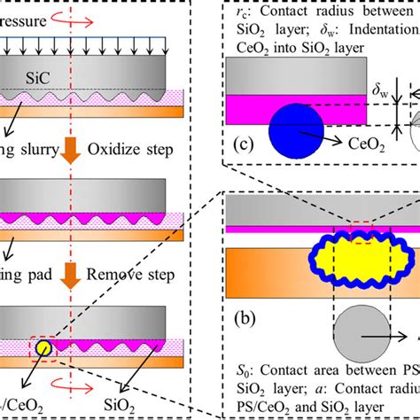 schematic of a sic ecmp with ps ceo2 core shell abrasives b download scientific diagram