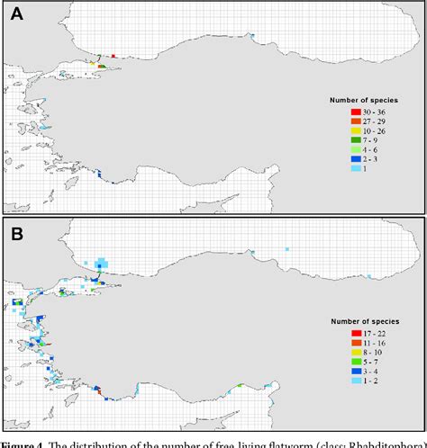 Xenacoelomorpha Semantic Scholar