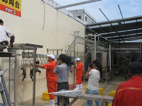 供应鸡鸭鹅宰杀沥血控血台 可旋转式圆形掏脏工作台 工厂直销 阿里巴巴
