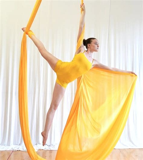 Pre Professional Aerial Fabric — Aerial Dance Chicago