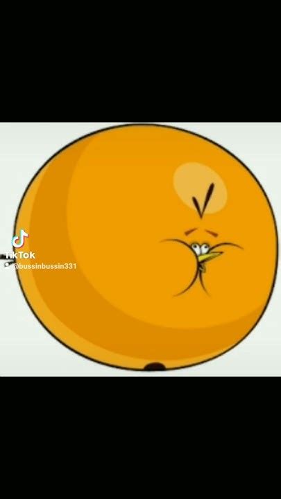 Terence Is The Biggest Bird Fyp Viral Biggestbird Youtube