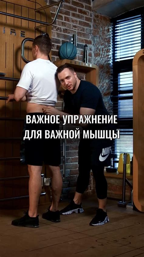 [Видео] «Важное упражнение для квадратной мышцы которое вам точно пригодится 🔥 Упражнения