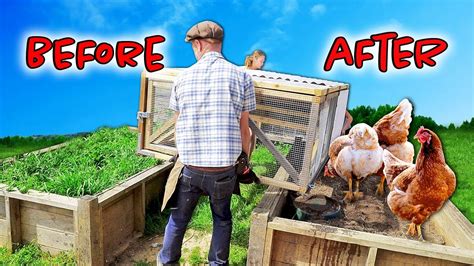 Before After Chicken Tractor Youtube