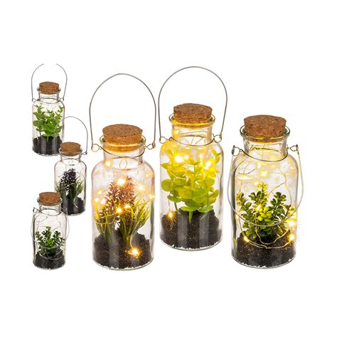 დეკორატიული მცენარე შუშის ბოთლში საკიდით