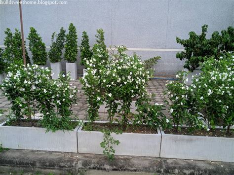 ไอเดียจัดสวนเล็กๆหน้าบ้าน ด้วยกระถางปูนโมเดิร์นสวยๆ Build Sweet Home