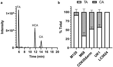 Several C Difficile Strains Can Deconjugate Taurocholate A C