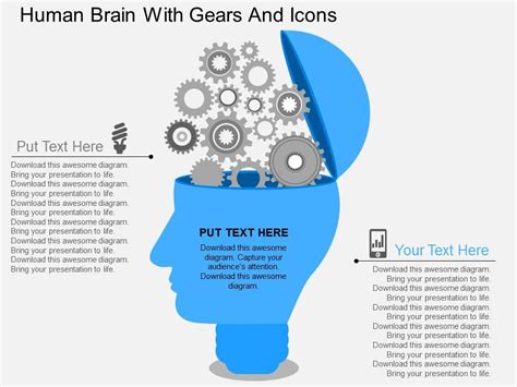 Hb Human Brain With Gears And Icons Flat Powerpoint Design PowerPoint Slide Template