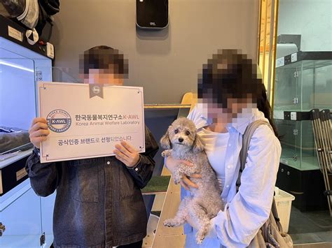 토이푸들 봄이 청주고양이무료분양 동탄고양이무료분양 위례고양이무료분양 청라고양이무료분양 부천고양이무료분양 원주고양이무료분양 광주고양이무료분양 부산고양이무료분양 대구고양이무료