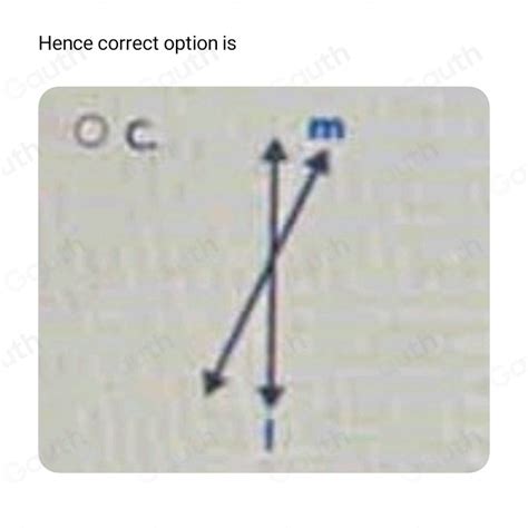 Solved Prove If Two Intersecting Lines Form Two Pairs Of Vertical