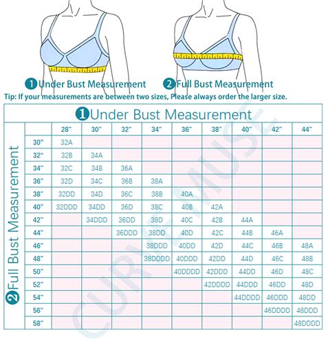 Breast Sizes In Order