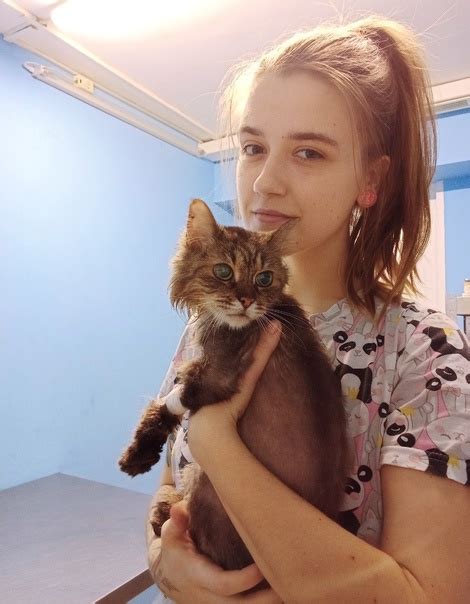 Как ухаживать за пожилой кошкой 樂 Средняя продолжительность жизни