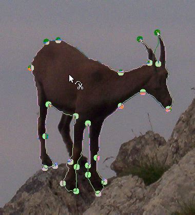 2 7 Intelligent Scissors