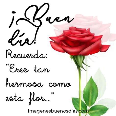 Top 19 Buenos Dias Rosas Hermosas 24938 Good Rating This Answer