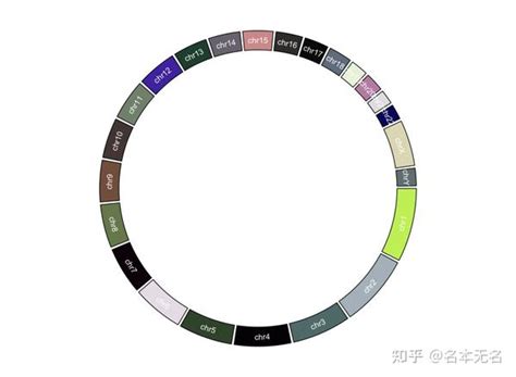 R 数据可视化 —— Circlize 基因组初始化 知乎