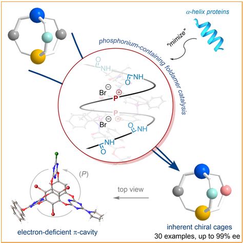 Cationic Foldamer‐catalyzed Asymmetric Synthesis Of Inherently Chiral Cages Fang 2024