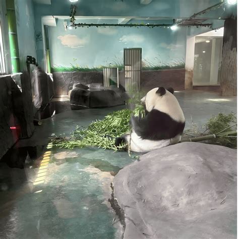 一种选择性的 Ca2钙调蛋白依赖性蛋白磷酸酶的抑制剂；148067 21 4研究作用神经