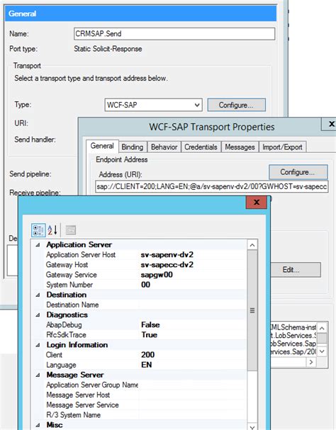 Wcf Sap Adapter Vs Wcf Custom Adapter With Sap Bindings Hooking Stuff