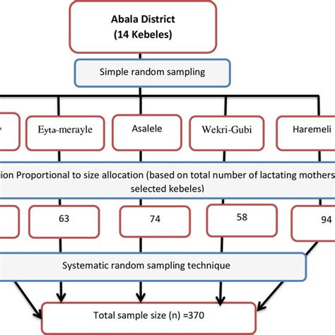 Schematic Representation Of Sampling Methods And Procedures To Select