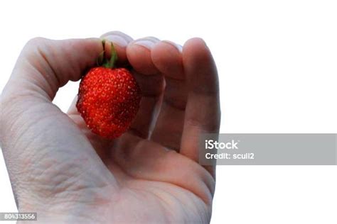 남자의 손을 잡고 마지막 딸기 흰색 Backgound에 고립 남자에 대한 스톡 사진 및 기타 이미지 남자 냄새 맡기 녹색